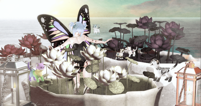 The Flutterpaw Garden – On the Rox