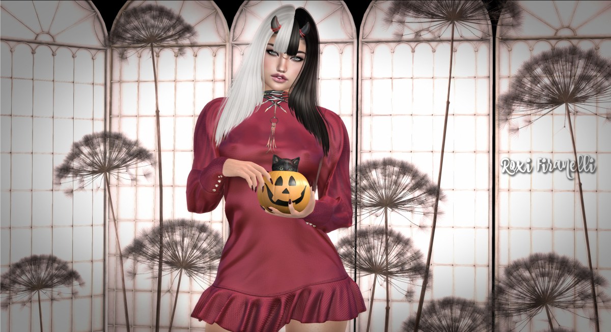 Salem 2020 – On the Rox