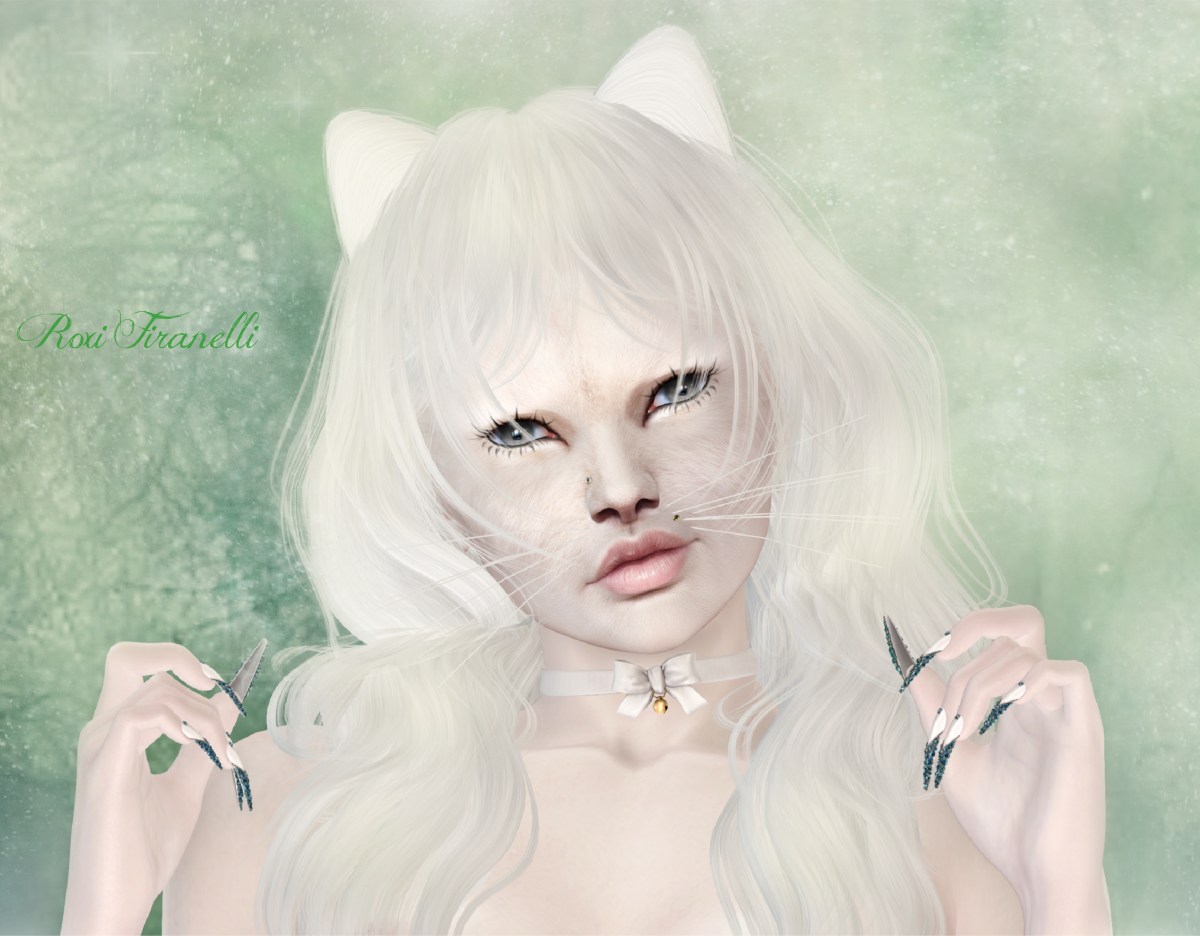 Meooow – On the Rox